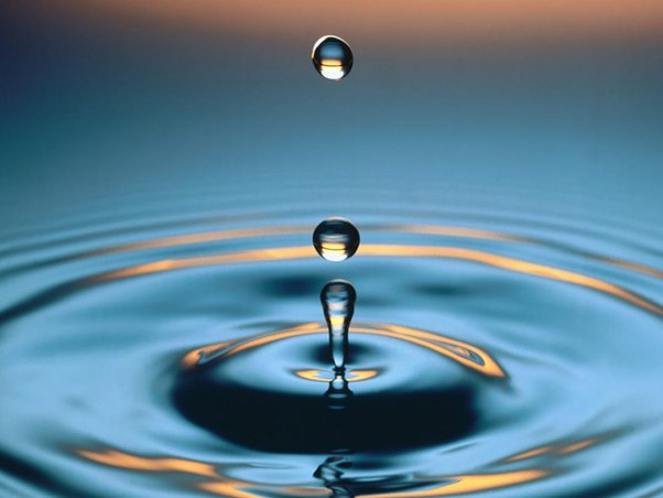 The Ripple Effect: How Small Actions Create Big Waves